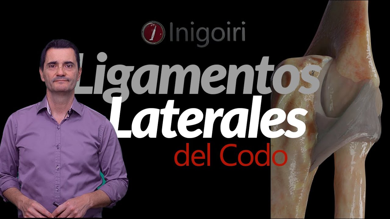 Ecografía de ligamento colateral lateral del codo - YouTube