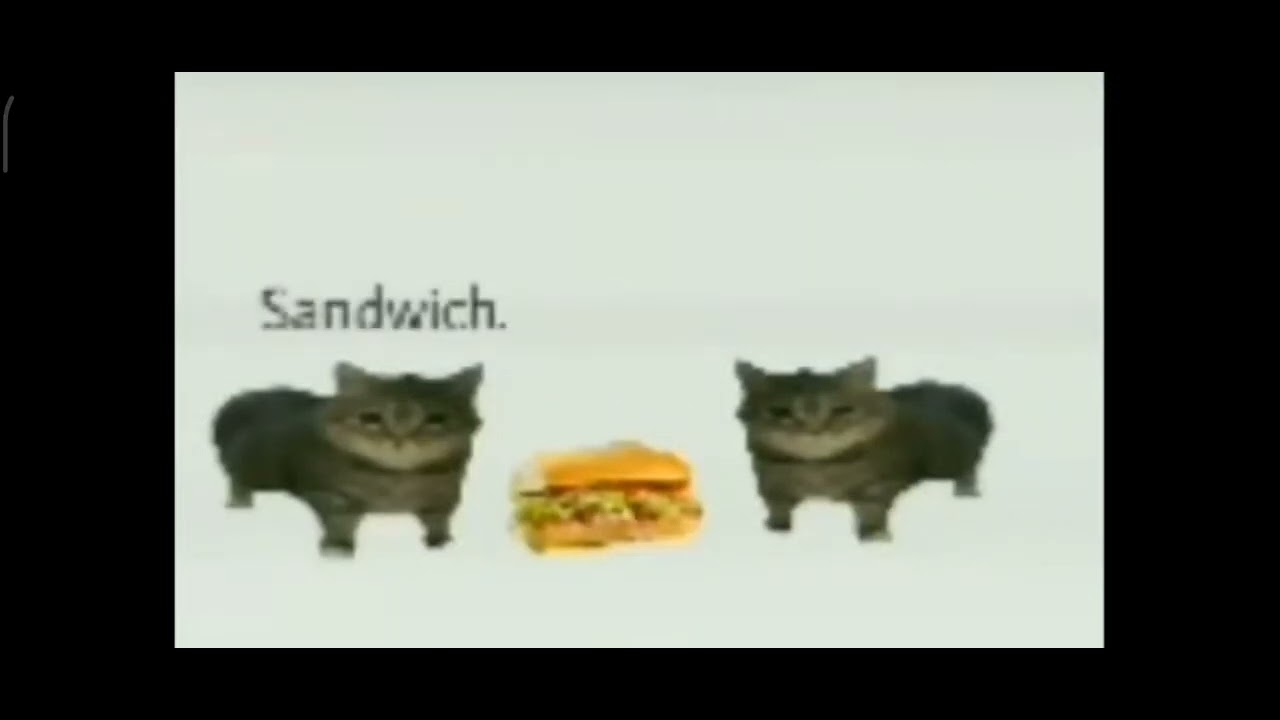 This Is a sandwich - YouTube