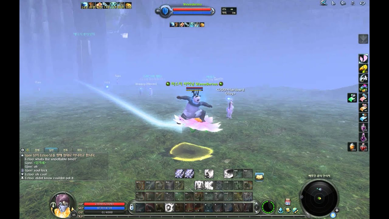 Aion 4.8 - Flying Flower Mount - YouTube