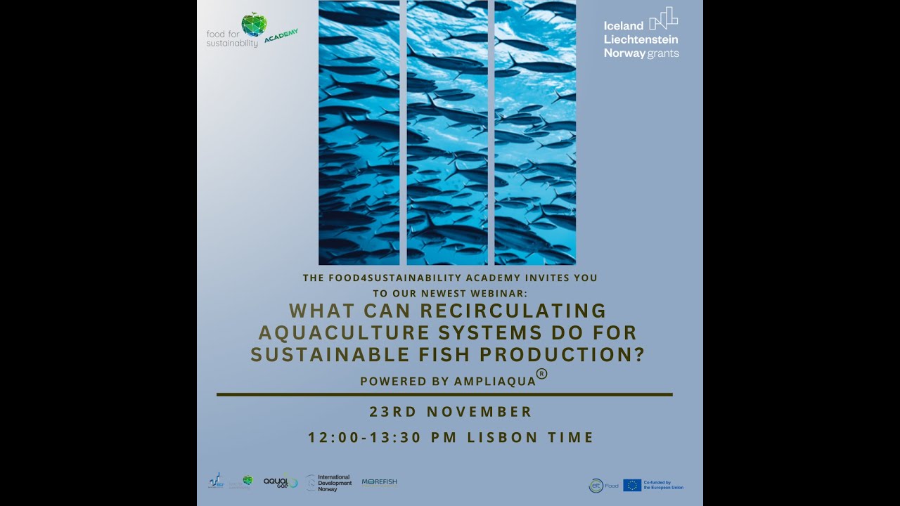 What can Recirculating Aquaculture Systems do for sustainable fish ...