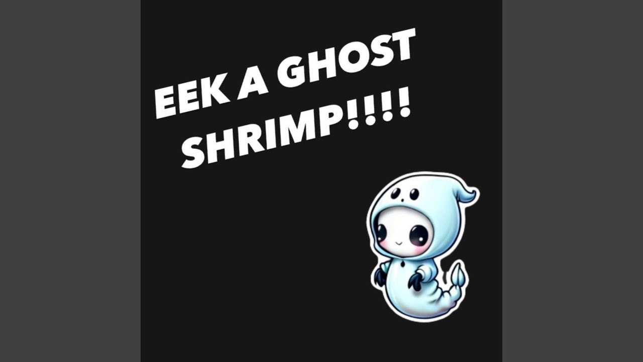 EEK A GHOST SHRIMP!! - YouTube