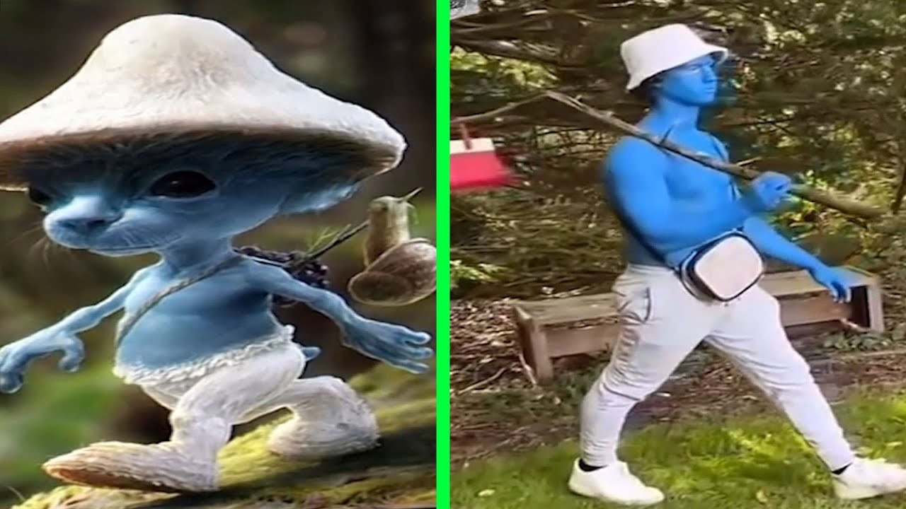 BLUE SMURF CAT IRL 😱 | Original VS IRL - YouTube