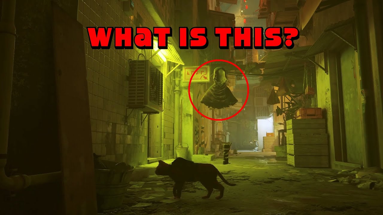 This 'Stray' Bug Is Horrifying #shorts - YouTube