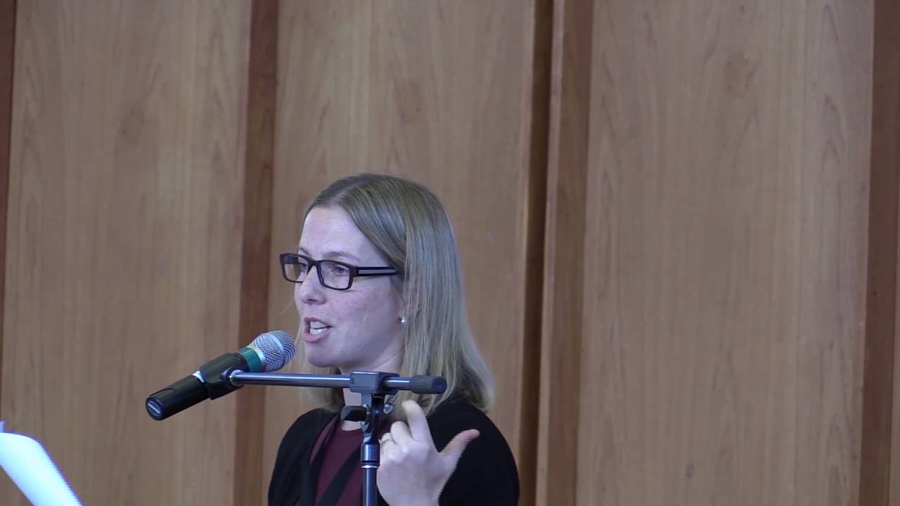 2016 JWD PSSC - Panel 4: International Perspective on Elections - Dr ...