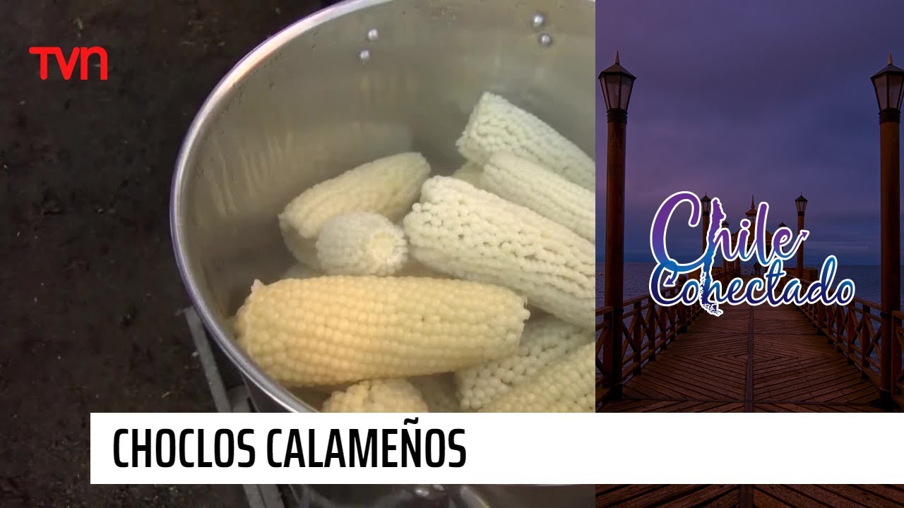 Choclos calameños | Chile Conectado - YouTube