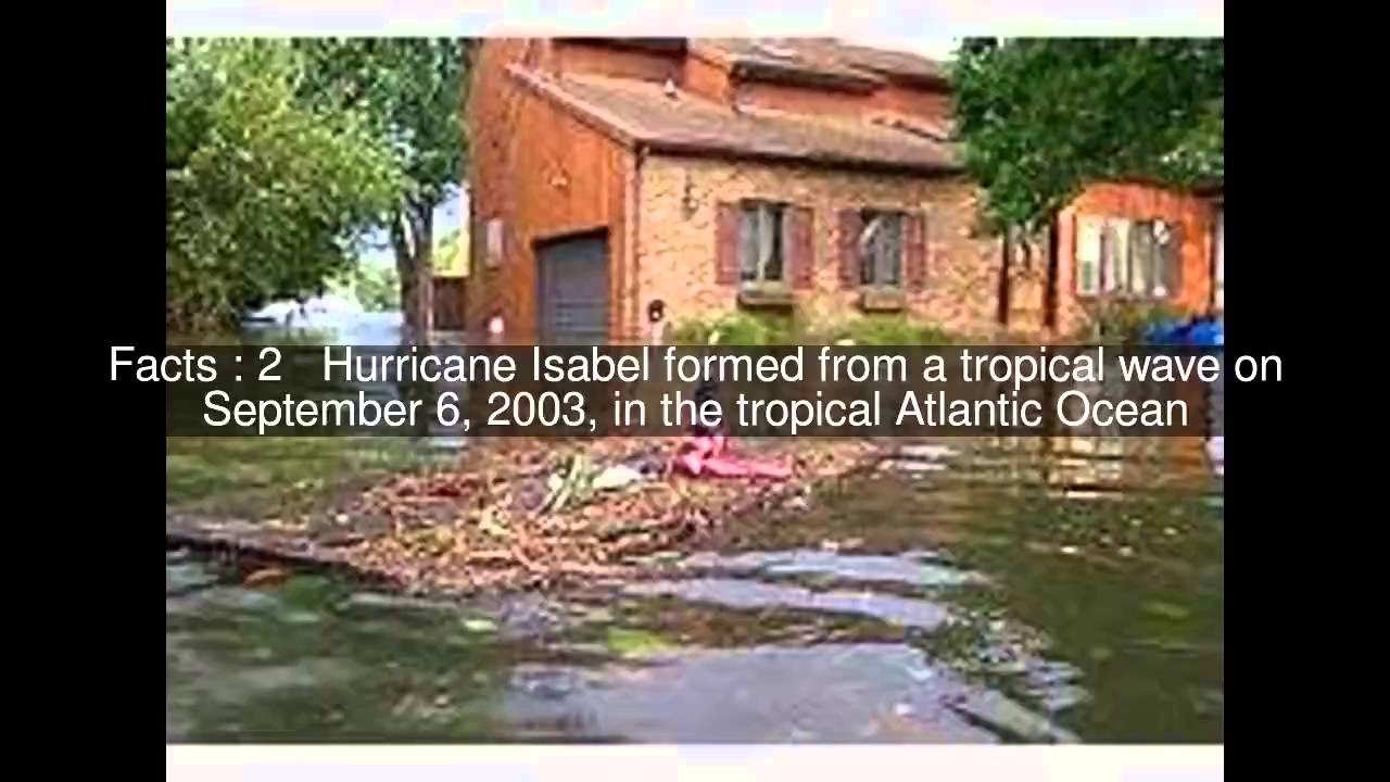 Effects of Hurricane Isabel in Maryland and Washington, D.C. Top #7 ...