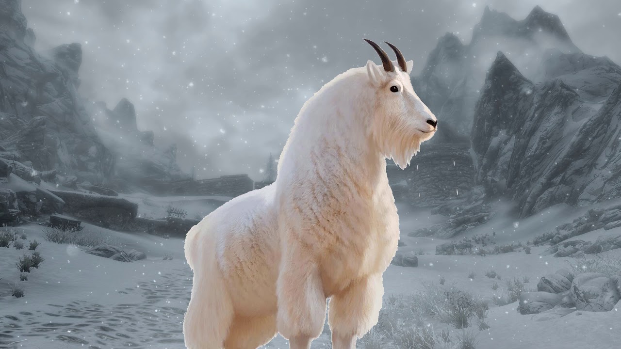 D&D 5e Monster of the Day: The King of the Mountains (Mountain Goat ...