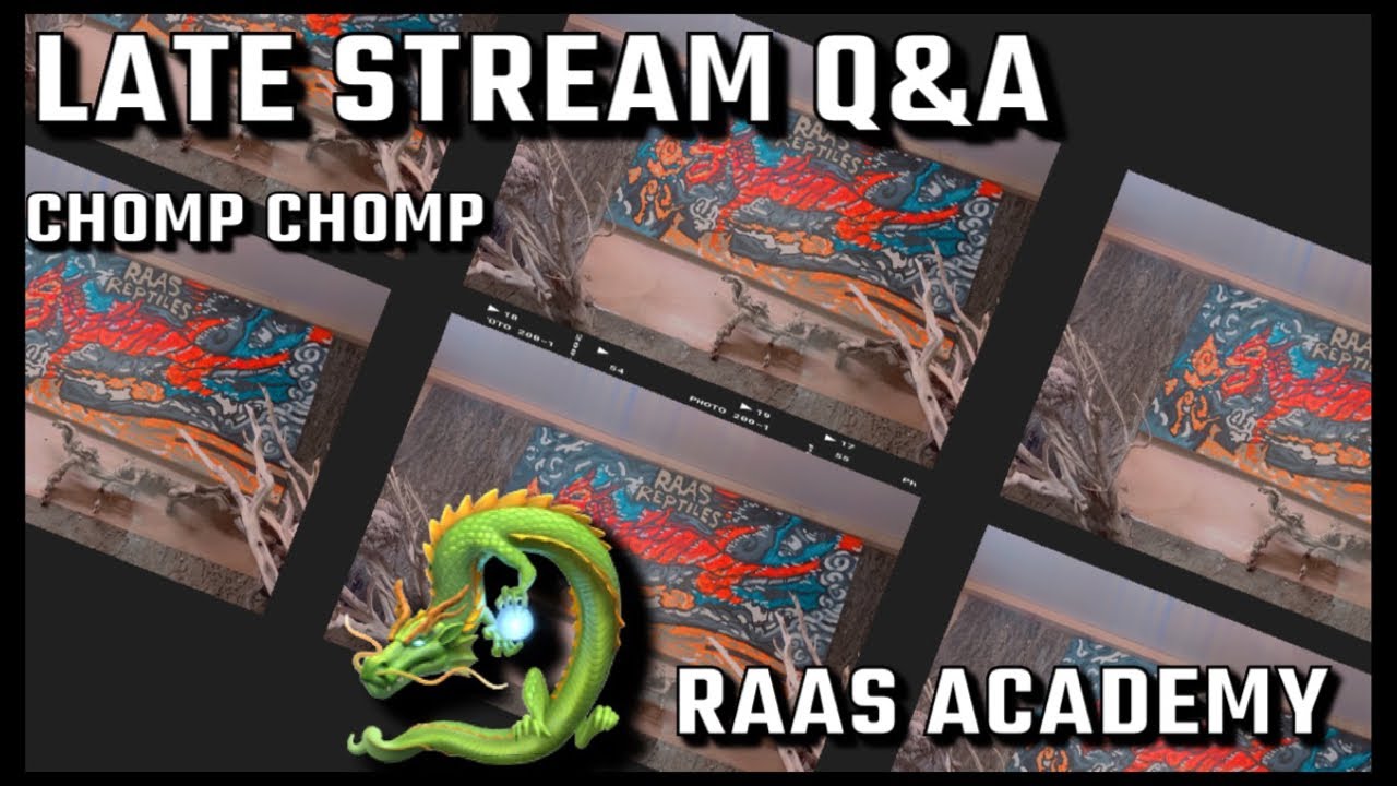 Raas Academy Live Stream Q&A Chomp Chomp - YouTube