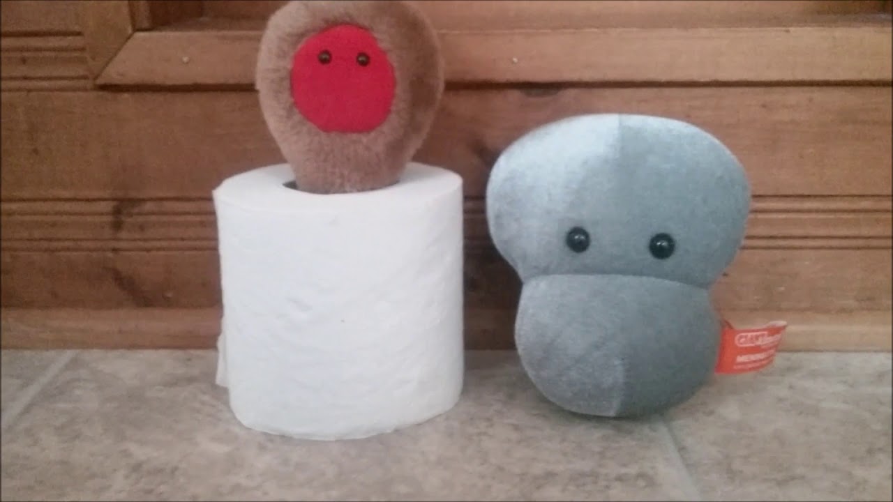 episode 17 giant microbes the thingamabob - YouTube