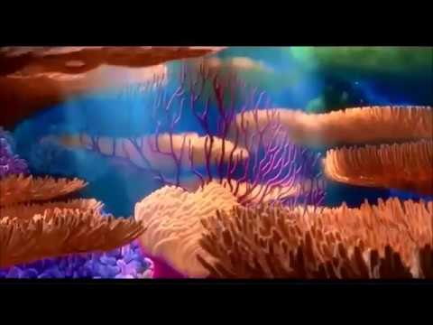 Finding Nemo Disc 1 Dvd - YouTube