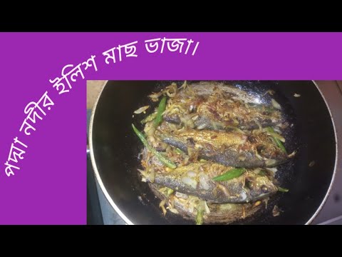 পদ্মা নদীর ইলিশ মাছ ভাজা সাথে মিক্সড ভর্তা By Md.Mizan's Kitchen. - YouTube