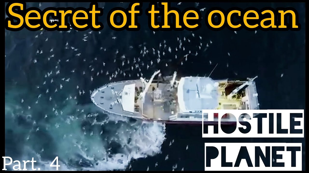 Secret of the ocean | Part 4 | Hostile planet | National geographic ...