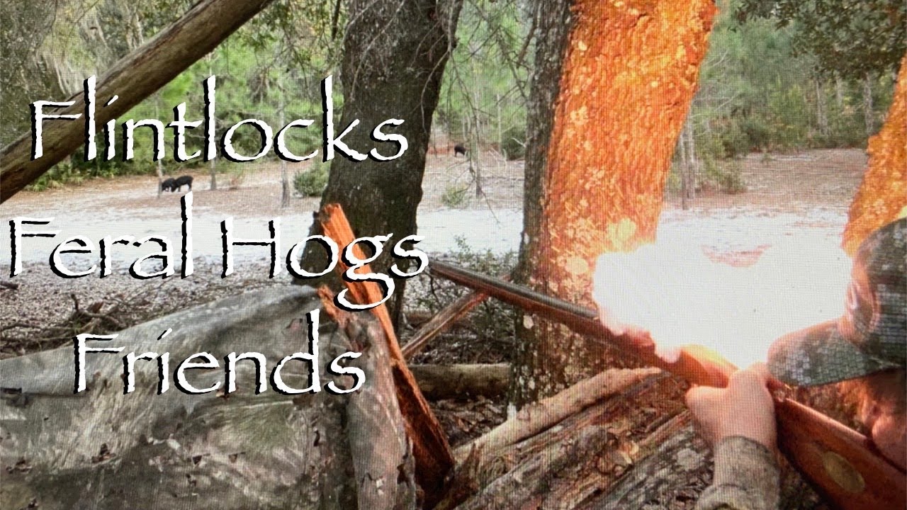 Flintlocks Feral Hogs and Friends/Traditional Muzzleloading Fun! - YouTube