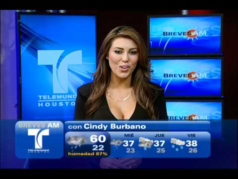 Breves AM Telemundo News & Weather Feb.1 Anchor Cindy Burbano - YouTube