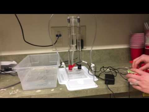 Decomposition of water: Lesson 5.1.2 - YouTube