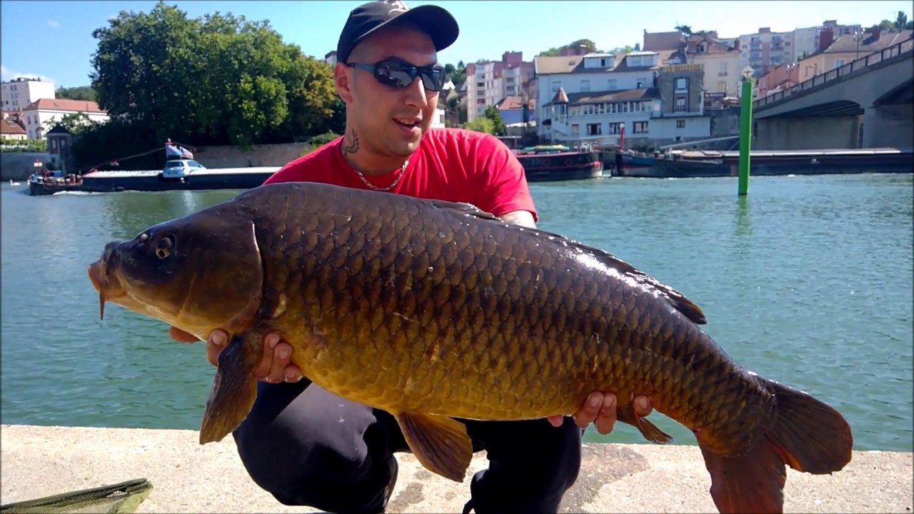 SUMMER STREET FISHING : LA PÊCHE DE LA CARPE EN SEINE - YouTube