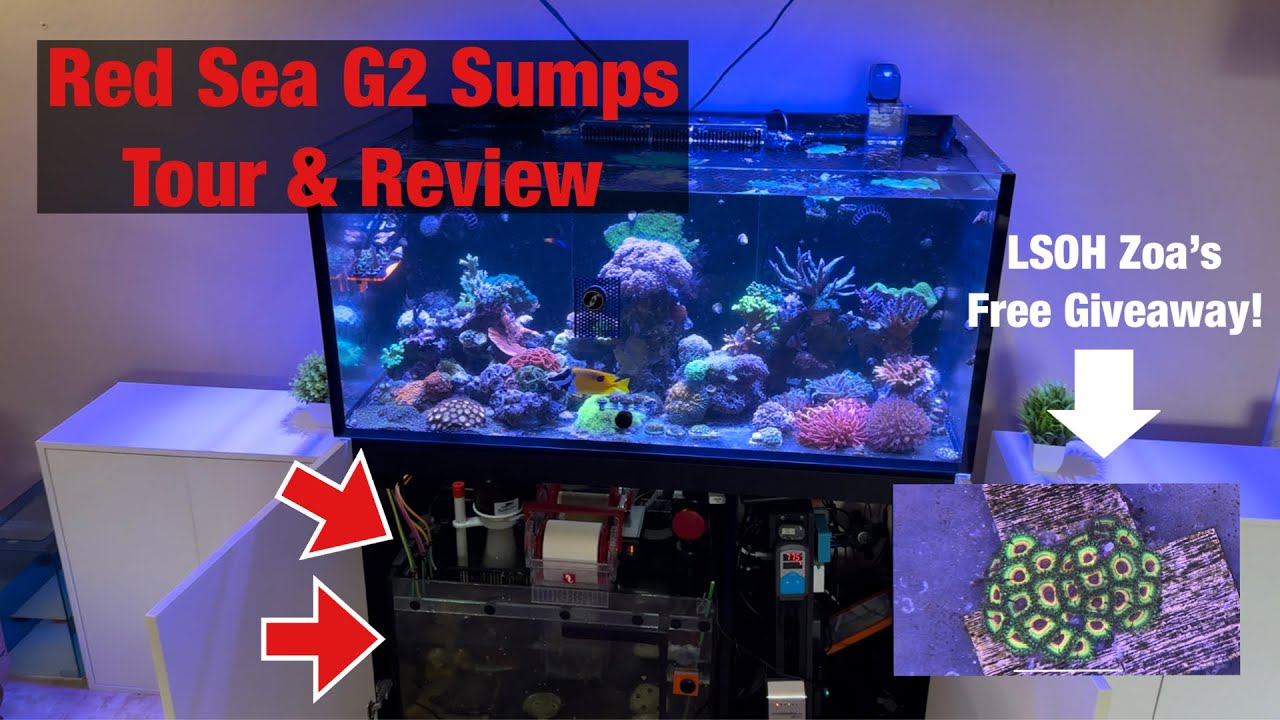 Tour & Review of the New Red Sea G2 Sumps - YouTube