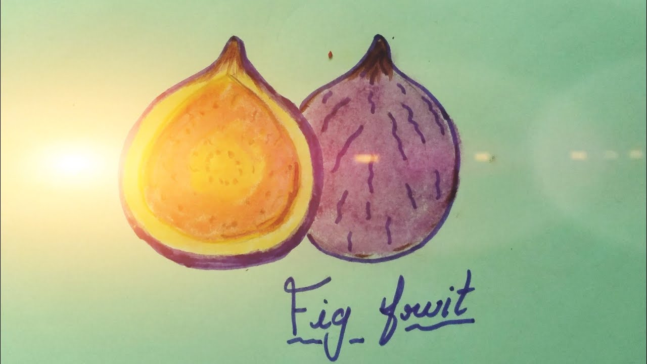 How to draw a fig fruit||Figfruitdrawing|| step by step .easy fruit ...