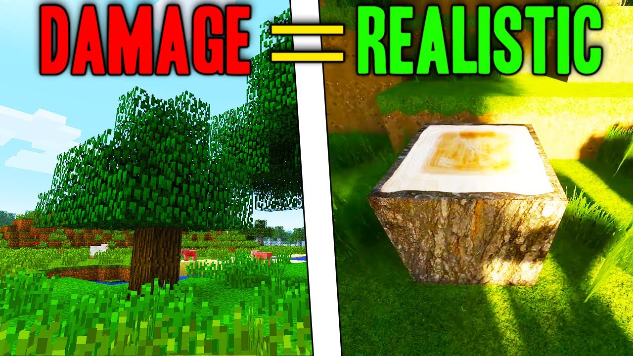 If I Take Damage Minecraft Gets More Realistic | Minecraft Hindi - YouTube