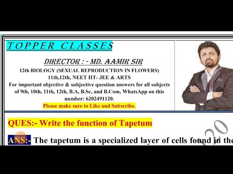 Write the function of Tapetum.|| - YouTube