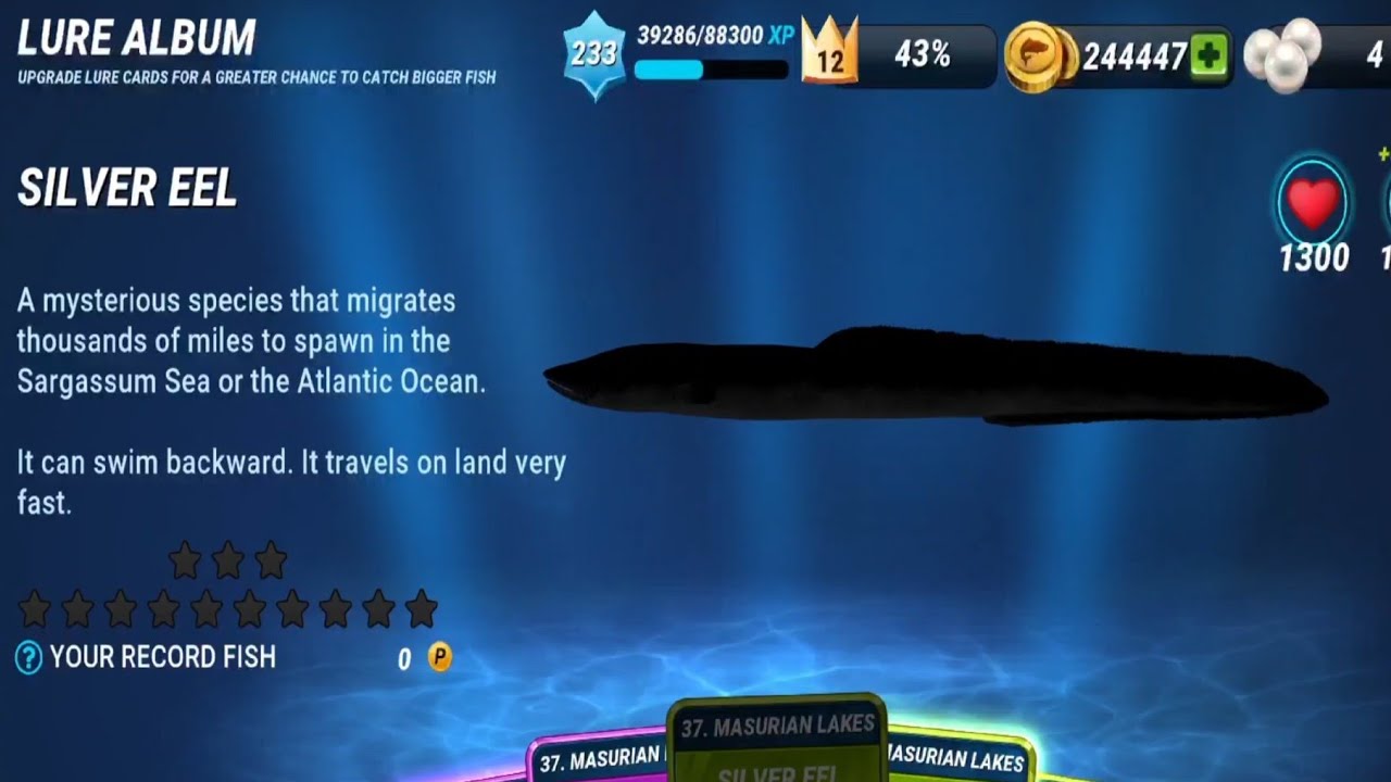 New Fish: Silver Eel - Fishing Clash Gameplay Ep400 - YouTube