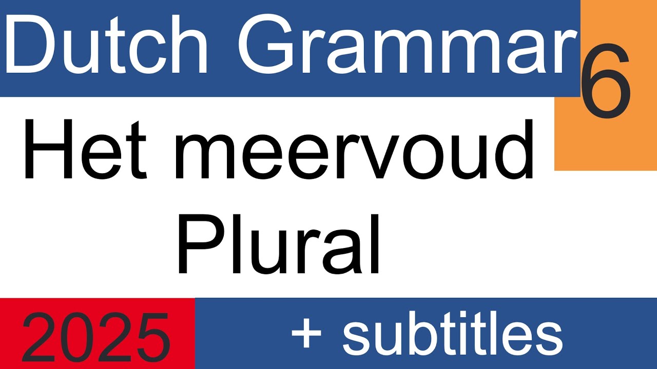 HET MEERVOUD DUTCH GRAMMAR #NT2 #learndutch #grammatica #nederlands # ...