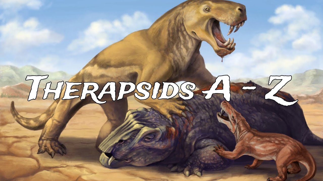 Therapsids A - Z - YouTube