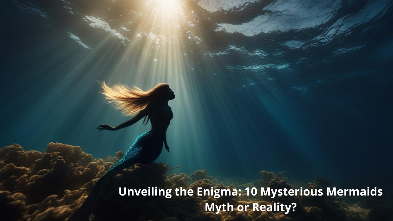 Unveiling the Enigma 10 Mysterious Mermaids Myth or Reality - YouTube
