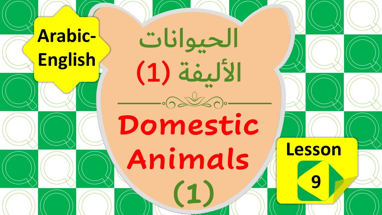 Learn Arabic Words for Domestic Animals - (Part 1) - YouTube