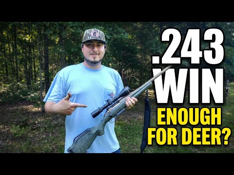 Is .243 Winchester Actually Enough for Deer? We Found Out