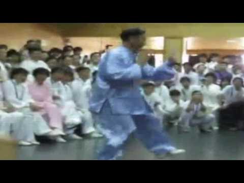 Chen Qinghuan - Tai Chi style Chen Xiaojia Erlu [陈氏太极拳小架 Taijiquan style Chen Xiaojia] - YouTube