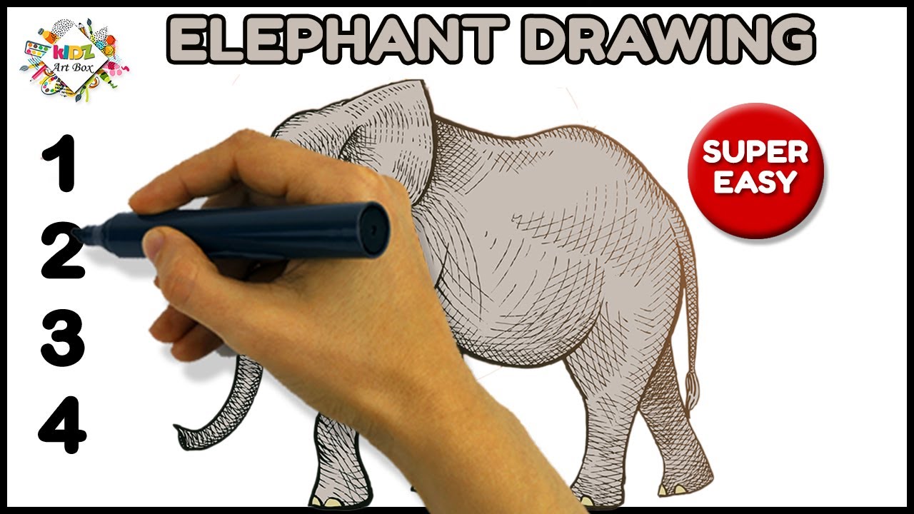 Draw Elephant From 1234 || Easy Elephant Drawing Step By Step - YouTube