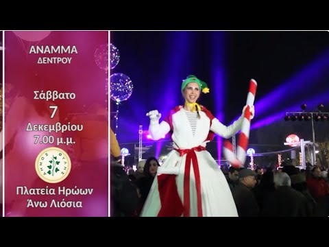 ΦΩΤΑΓΩΓΗΣΗ ΧΡΙΣΤΟΥΓΕΝΝΙΑΤΙΚΟΥ ΔΕΝΤΡΟΥ 2024 - YouTube