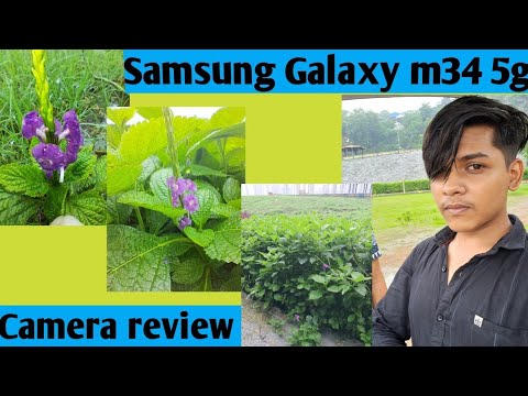 Samsung Galaxy M34 | Camera review | best budget phone | Amazing ...