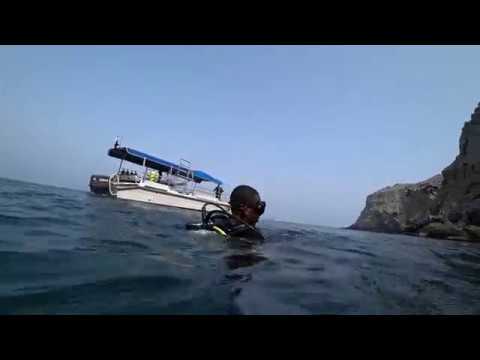 Diving In Musandam, Oman - YouTube