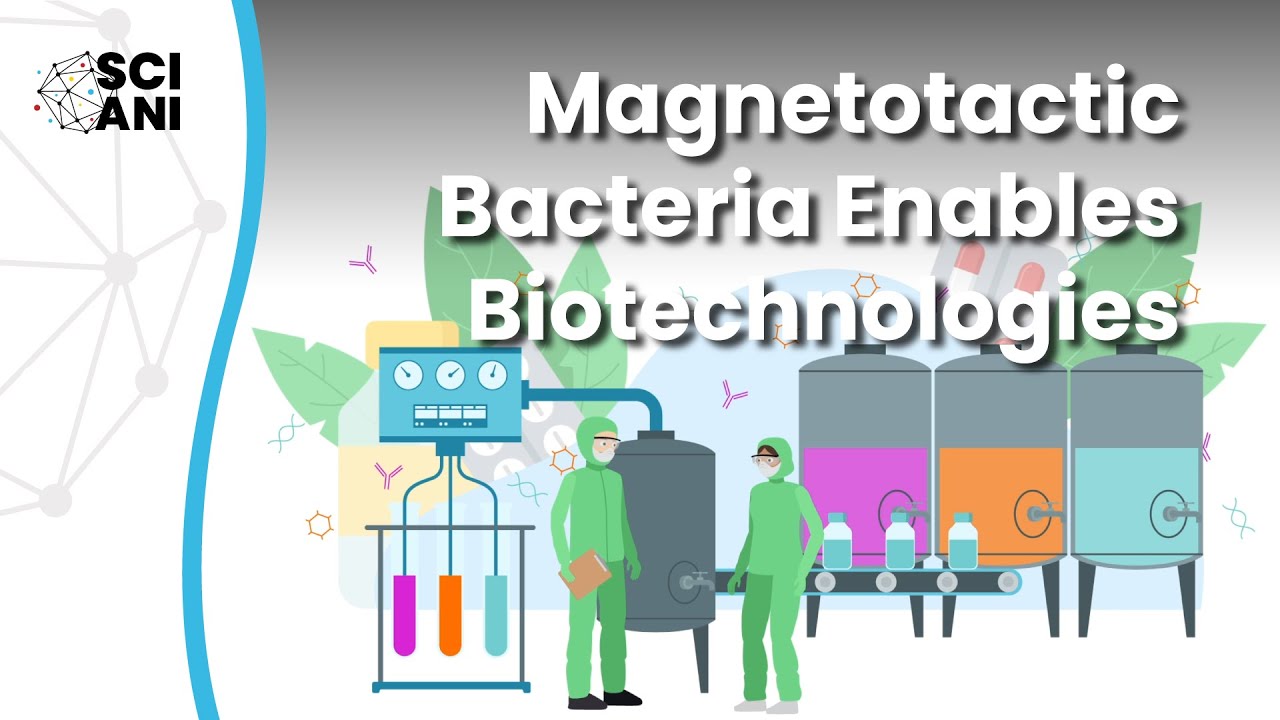 How can Magnetotatic Bacteria Enable New Biotechnologies? - YouTube