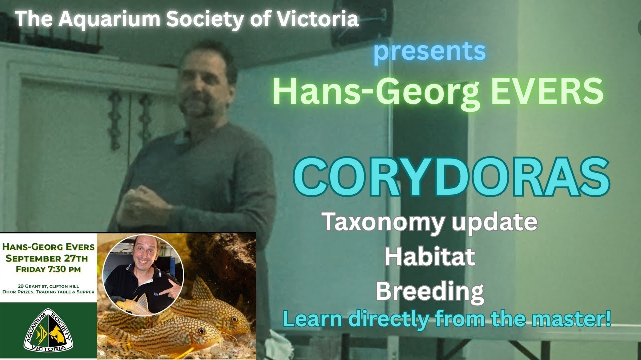 Hans-Georg EVERS talk - Corydoradinae (Corydoras). Aquarium Society of Victoria presentation ...