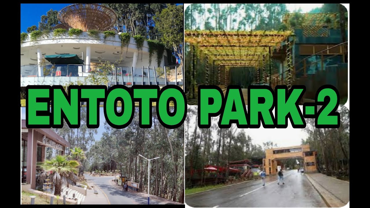 Entoto Park Part-2| Addis Ababa Entertainment Park| Ethiopia Park - YouTube