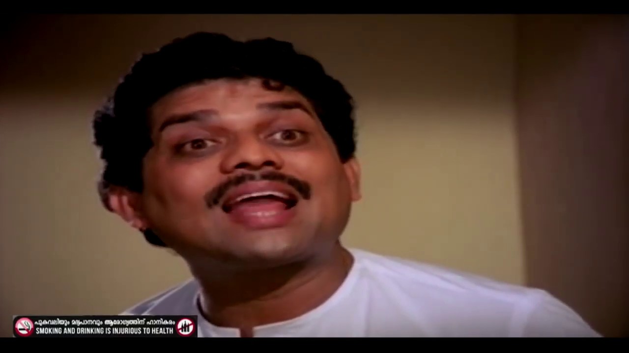 പുറത്തു കയറും മുൻപ് മെരുക്കി കൊടുക്കണം | Jagathy & Pappu Hit Comedys ...