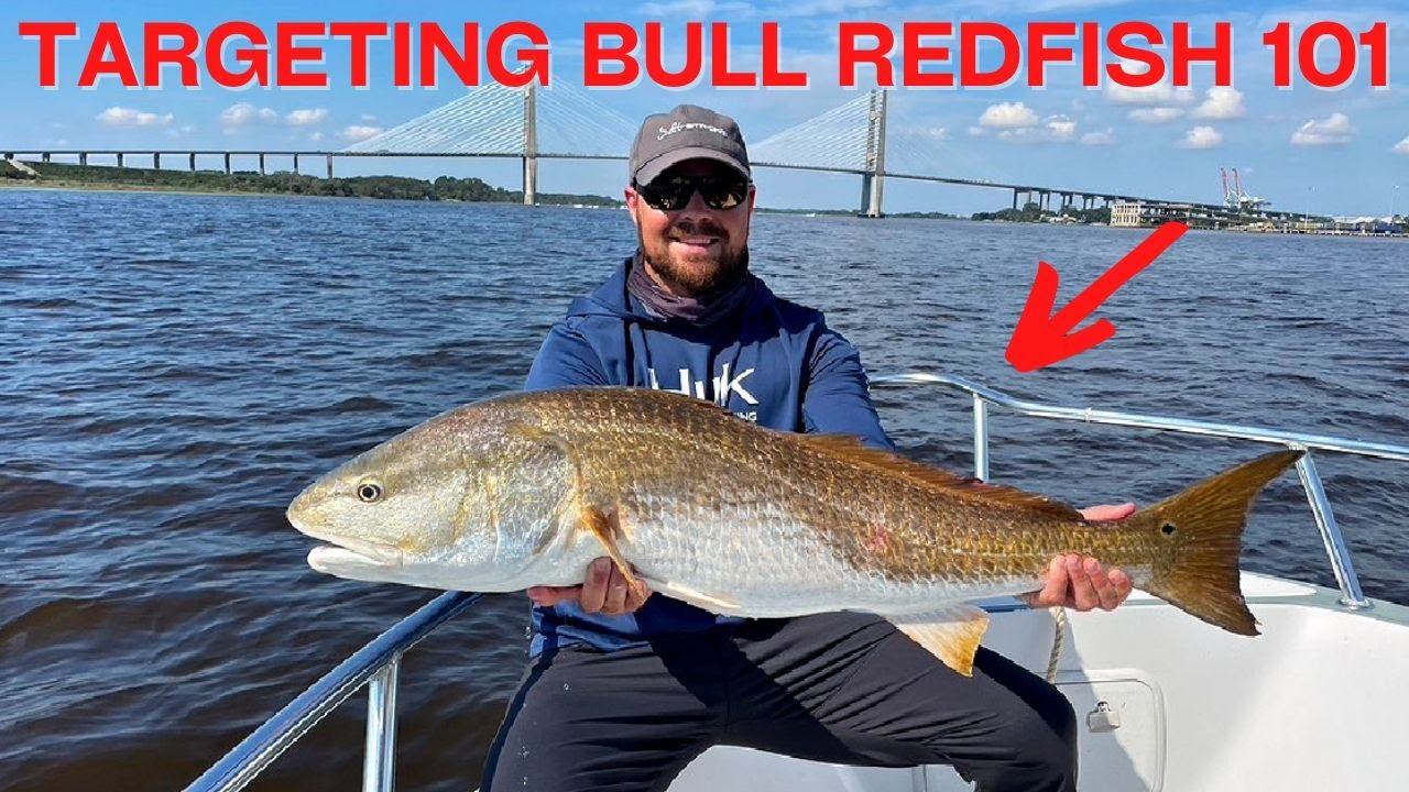 Targeting Bull Redfish 101 [Baits, Handling, & More] - YouTube