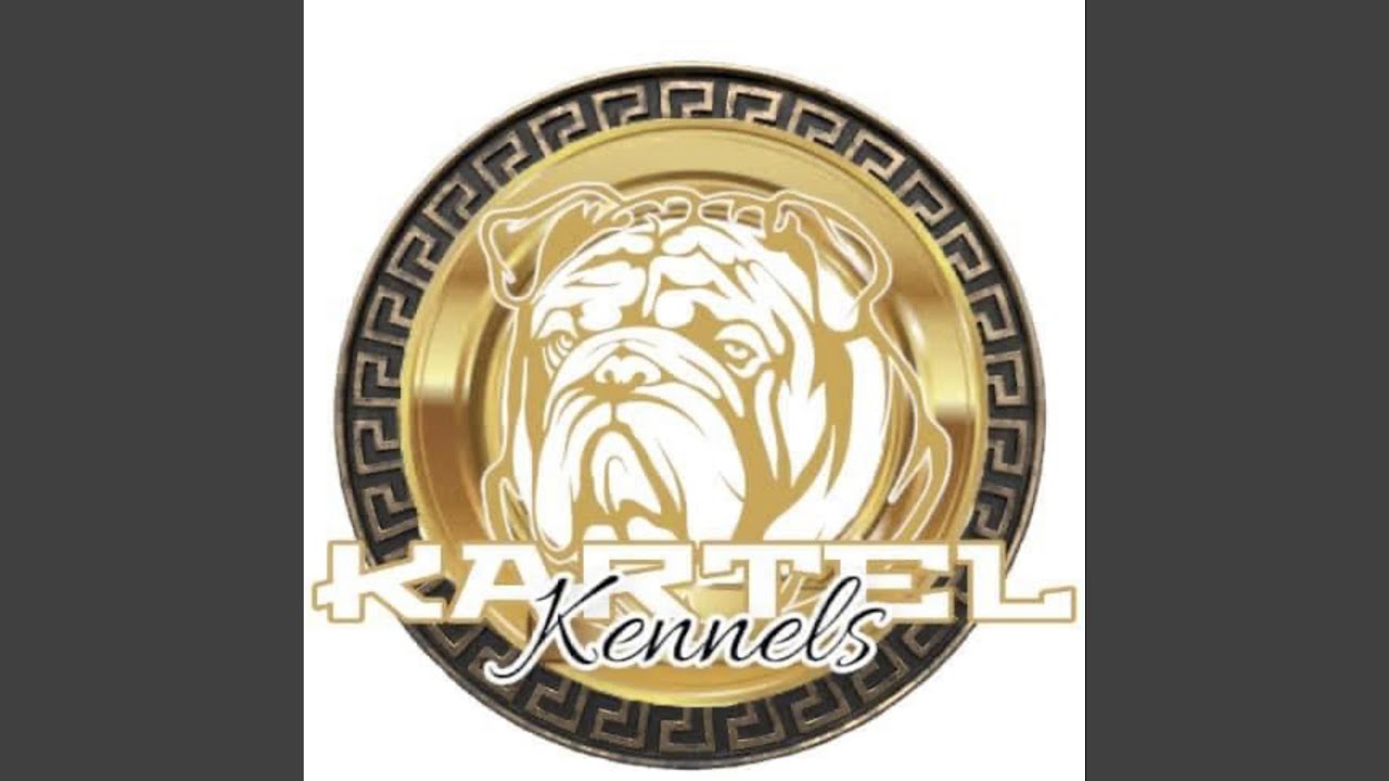 Kartel Kennels - YouTube