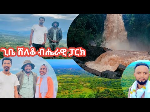 Gibe Sheleko National park - in Ethiopia - Gurage zone - YouTube