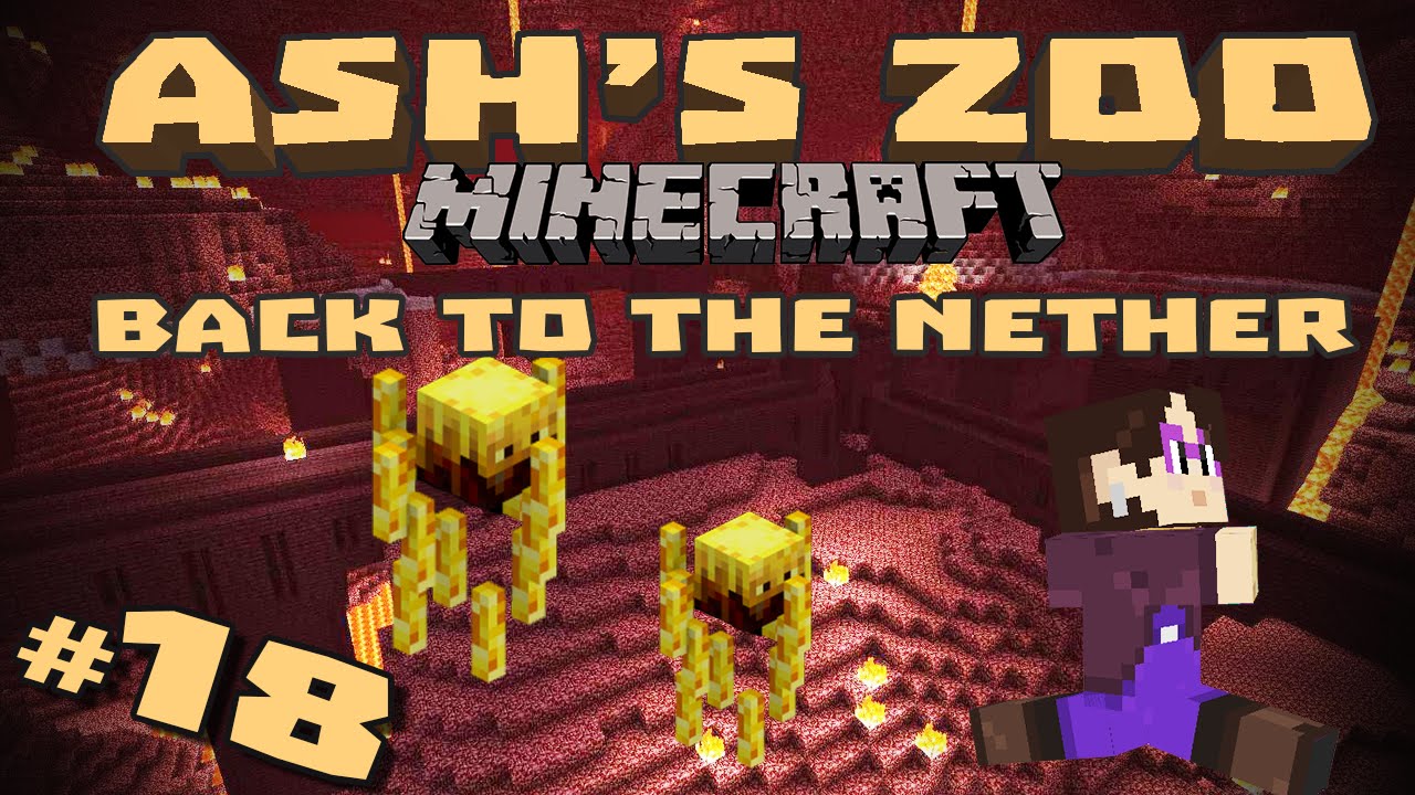Minecraft: Ash's Zoo - #18 - Back to the Nether - YouTube