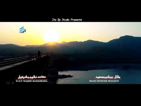 Raees bacha new 2019 songs