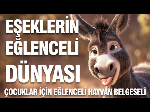 Eşek Donki ve Arkadaşları: Eşeklerin Eğlenceli Dünyası Videosu! Çocuklar için Eğlenceli Video