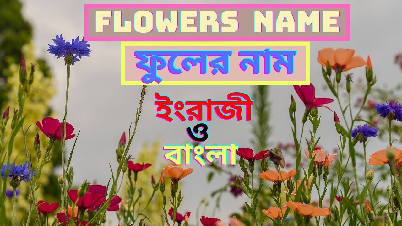 flowers name for kids| learn flower name bengali| flower name with ...