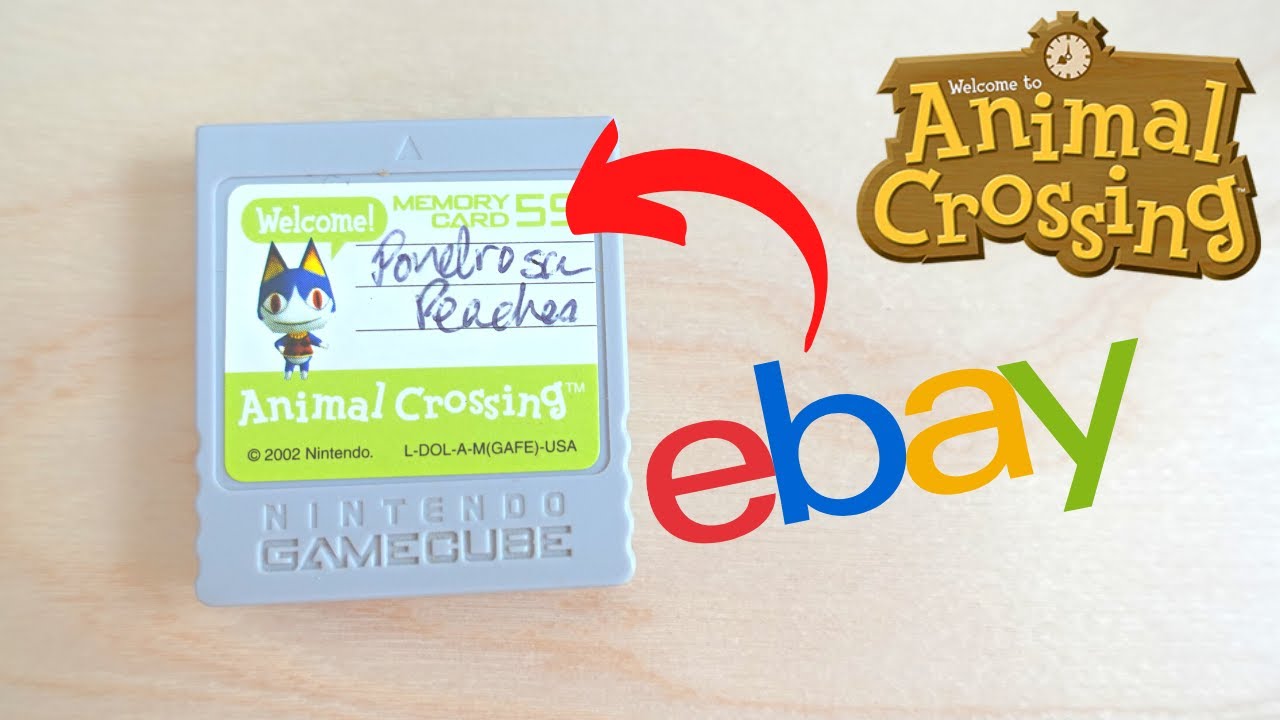 I Played A Stranger's Abandoned Animal Crossing Save File - YouTube