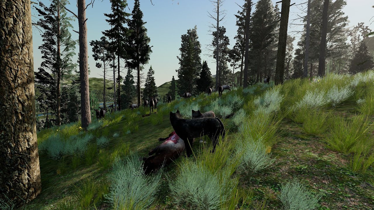 WolfQuest 3 Early Access: Hunting Down Invaders - Corvid #10 - YouTube