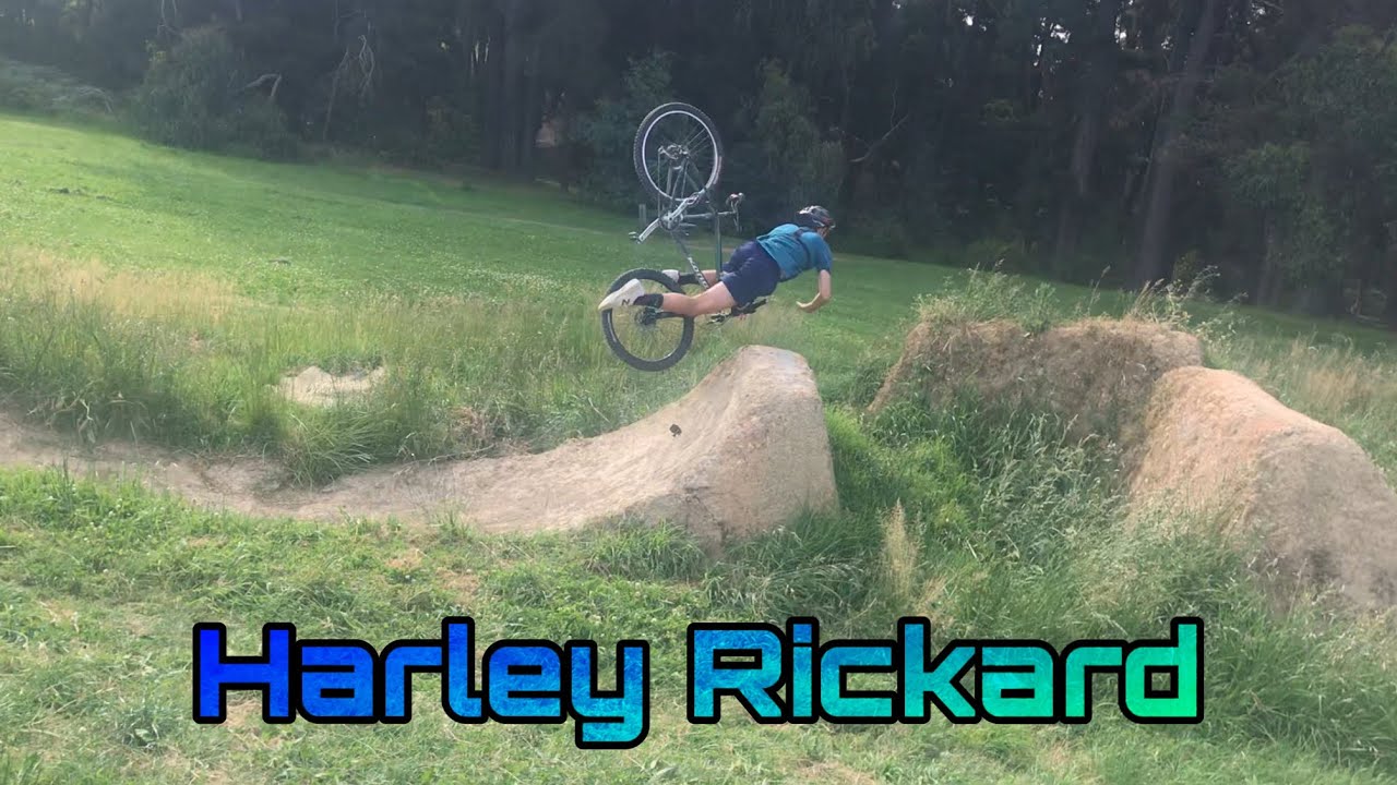 Best fails and Crashes of Harley!! (2019) - YouTube