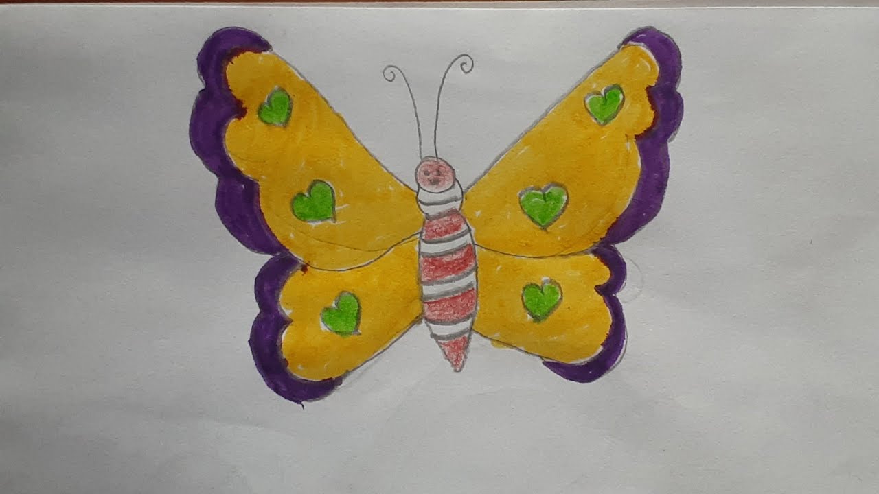 How to Draw a butterfly 🦋step by step drawing beautiful and easy ...